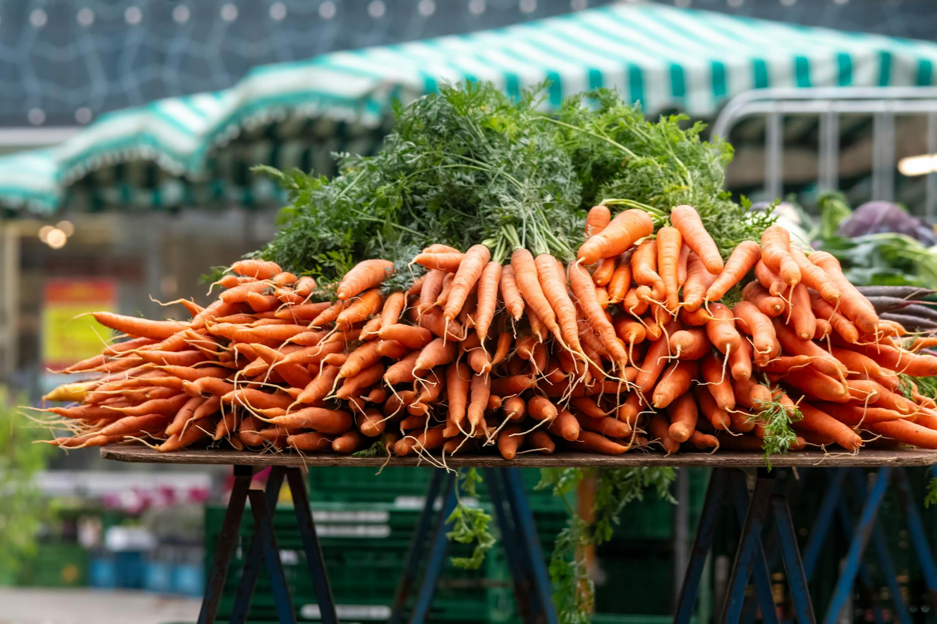 Vegan & Vegetarian Vienna: Best Plant-Based Restaurants (2026)
